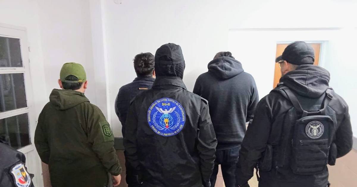 "Le cortamos la cabeza a la cascabel": el juez Nacul habló tras caer la ...