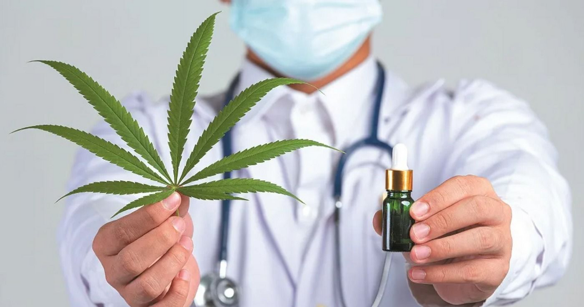 Reprocann: aumentan restricciones en cultivadores, médicos y las ONG ...