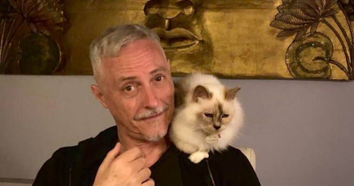 "La tonada es uno de los estilos más hermosos del folclore" | El Diario ...