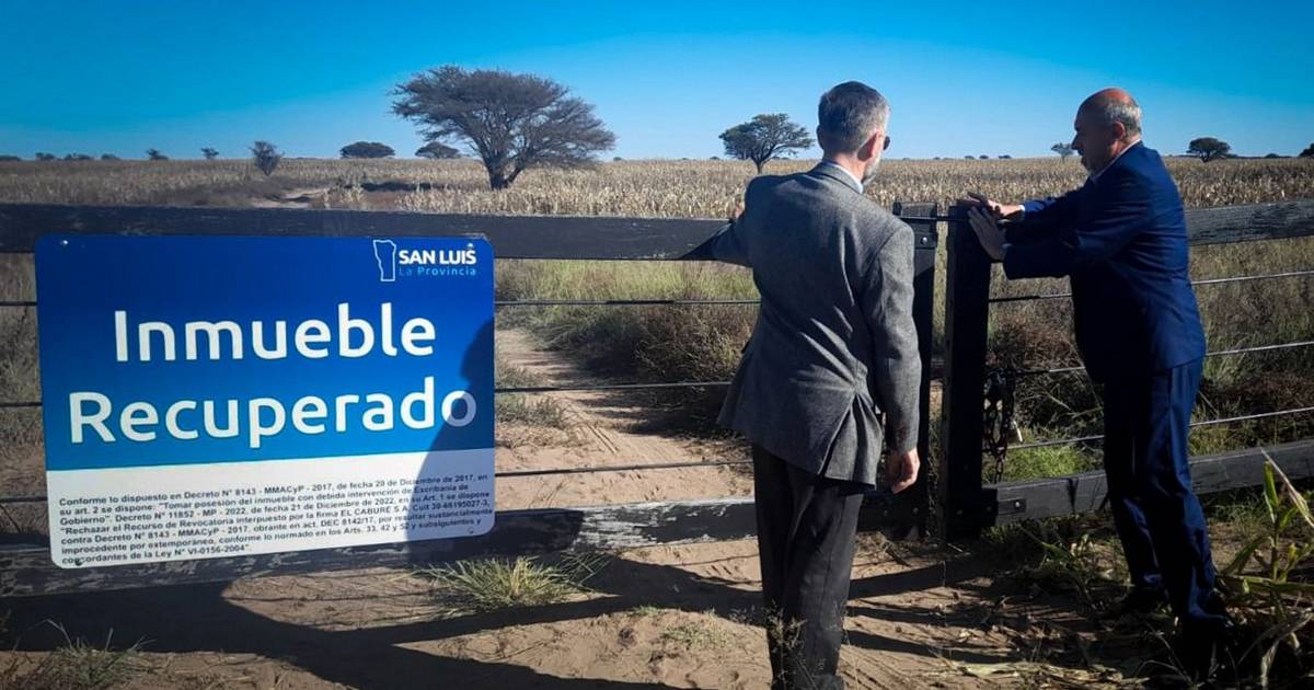 Desapareció una cosecha millonaria de un campo expropiado por el ...