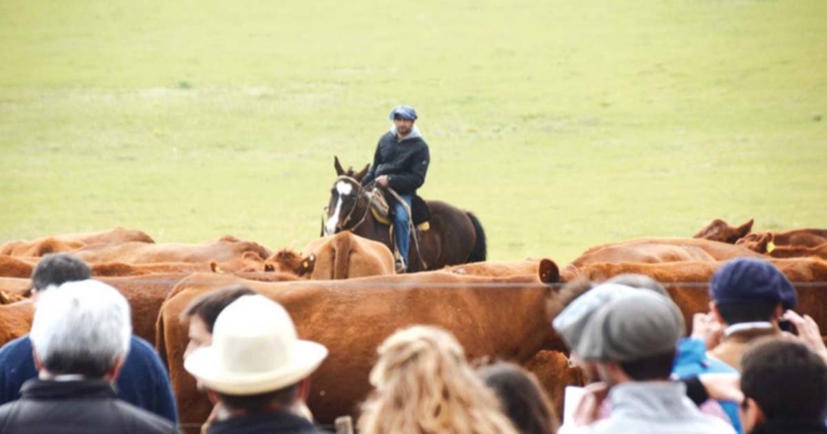 La Benedicta mostró las recetas de su producción | El Diario de la ...